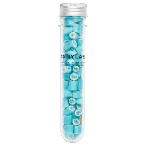 Candy Tube - Blueberry, 30g - The Gourmet Warehouse