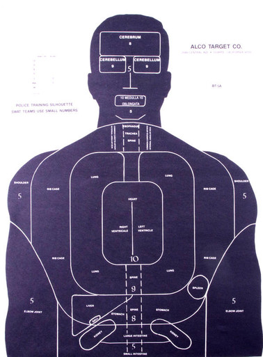 Anatomy Training Target