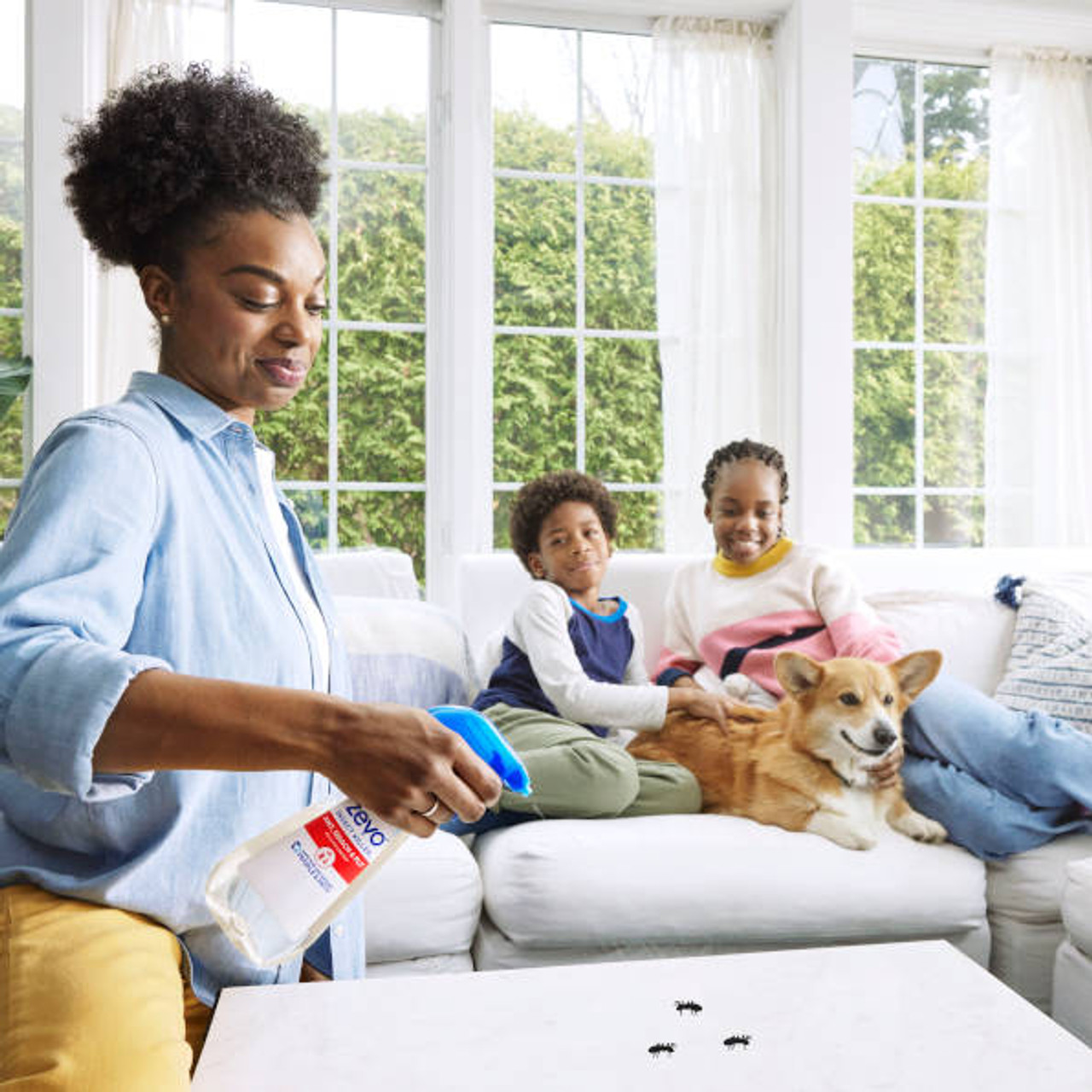 Safe* and Powerful Insect Sprays | Zevo