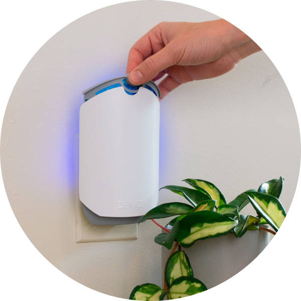 Where To Use Flying Insect Traps | Zevo