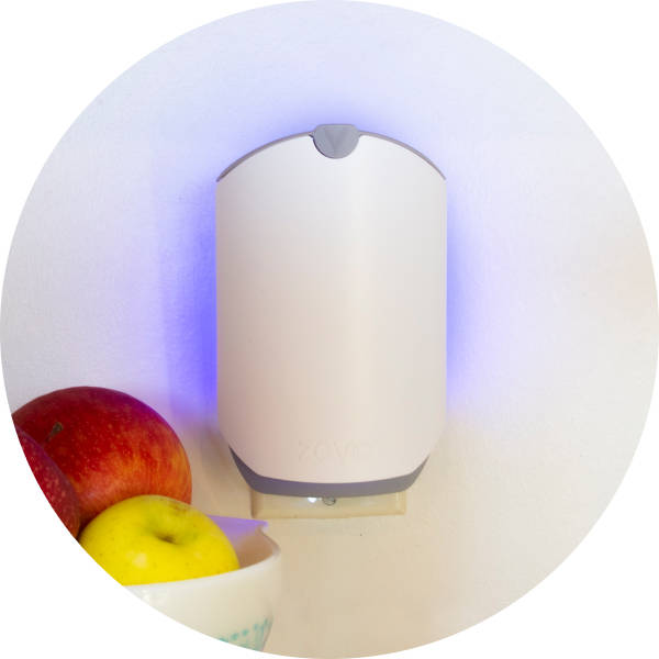 Where To Use Flying Insect Traps | Zevo