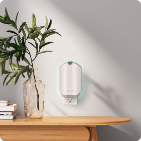 Zevo | Worry-free Insect Sprays & Traps