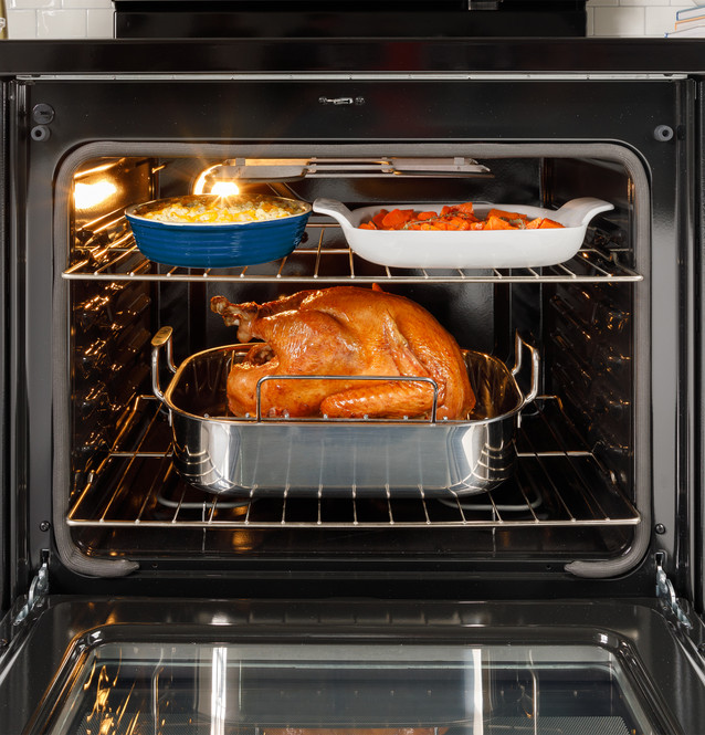 GE® ENERGY STAR® 30" Free-Standing Electric Range - GRF400SVBB - GE ...