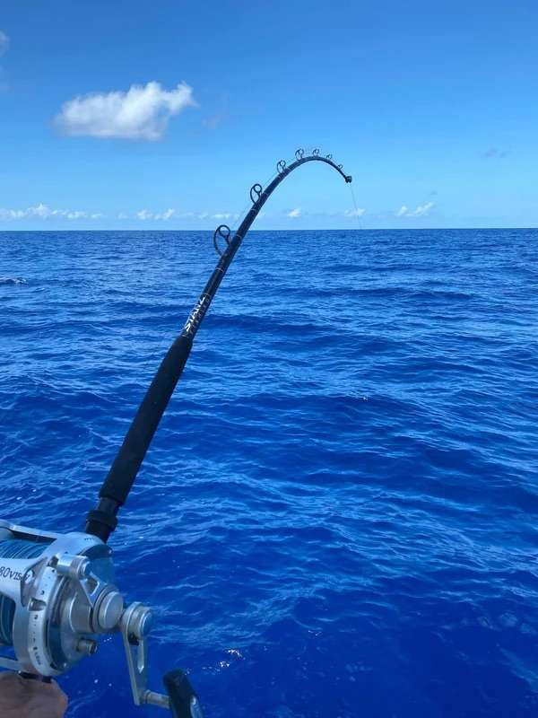 STANZ Fishing STANZSword Swordfish Conventional Rod - TackleDirect