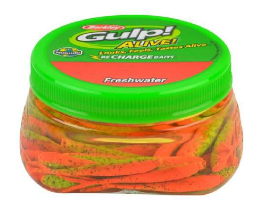 Berkley Gulp Alive GAPMI3 3 inch Minnow - TackleDirect