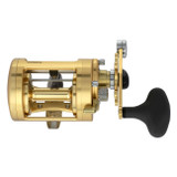 Shimano Calcutta B CT700B Fishing Reel