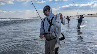 Blog - TackleDirect