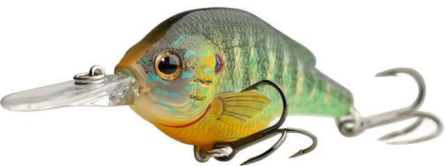 LIVETARGET Lures Pumkinseed Crankbait - TackleDirect