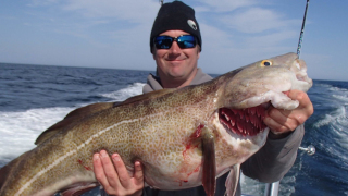 Cod Bait Bite - TackleDirect