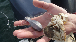 Tog Rigs 101 - TackleDirect