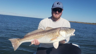 What Spinning Reels are Best for Redfish? - TackleDirect