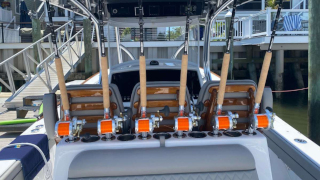 Best White Marlin Reels & Rods - TackleDirect