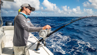 Top 5 Daytime Swordfish Reels - TackleDirect