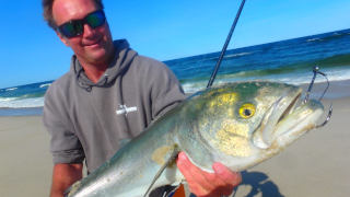 Bunker Chunking Bluefish - TackleDirect