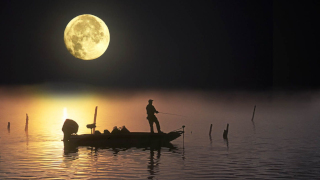 Does Using The Moon Phases Improve Your Fishing? - TackleDirect