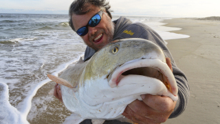 Outer Banks Surf Redfish - TackleDirect