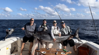 Pumpkin Swords - TackleDirect