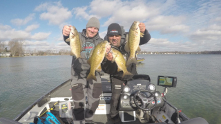 Strike King Half Shell is the BEST Drop Shot Bait - TackleDirect