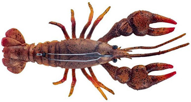 Chasebaits Mudbug - 2.75in - Pumpkin Seed - TackleDirect