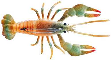 Chasebaits Mudbug - 2.75in - Native - TackleDirect