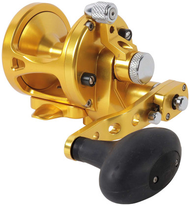Avet SX 6/4 G2 NGP 2-Speed Reel - Gld (No Glide Plate) - TackleDirect