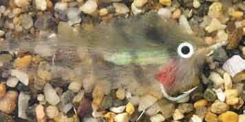 Enrico Puglisi Rattle Pinfish Saltwater Fly - TackleDirect
