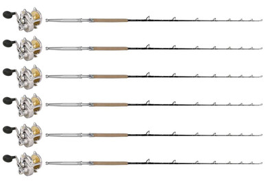 Shimano Talica 20IIA / TDPSTSC661630SIC Sailfish Combos - TackleDirect