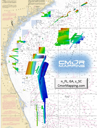 CMOR Mapping North Florida, Georgia and South Carolina Mapping ...