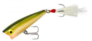 Rebel Pop R Lure - Tennessee Shad - TackleDirect