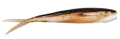 Berkley Gulp! Saltwater Baitfish - Smelt - TackleDirect