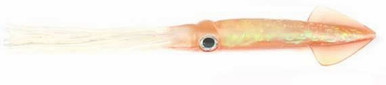 Tsunami Holographic Squid Lure 6in 25 Pack Natural Squid