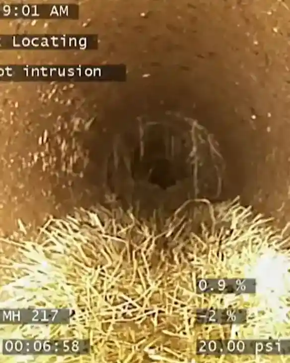 Sewer Drain Camera Inspection Systems - Insight Vision