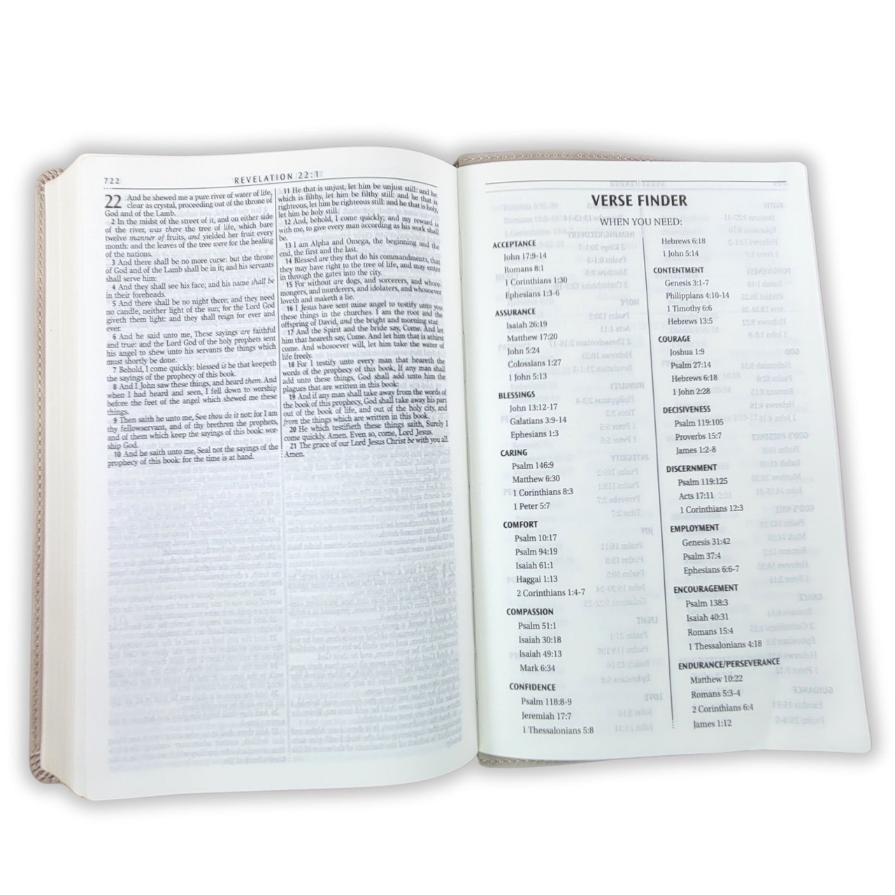 KJV Deluxe Gift Edition Bible, 9798896780021