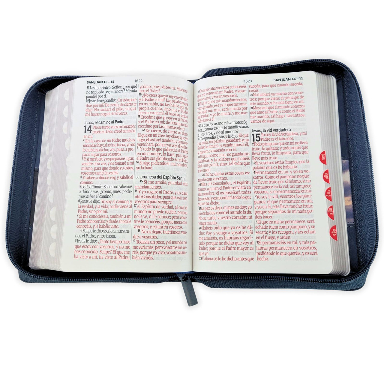 Biblia con Cierre Portatil 12 puntos RV1960, 9798893843866