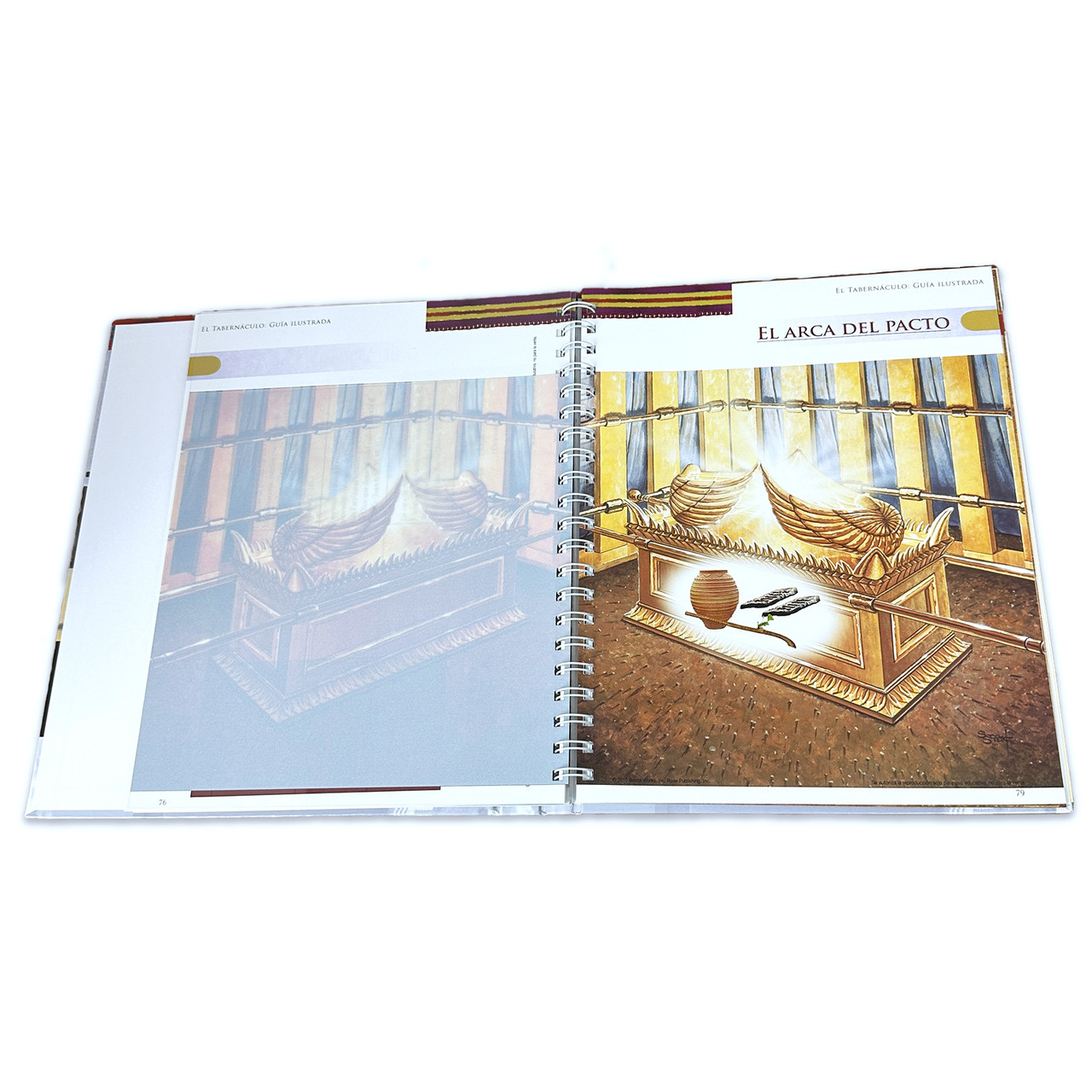 El Tabernáculo: Guía Ilustrada, 9780805495430