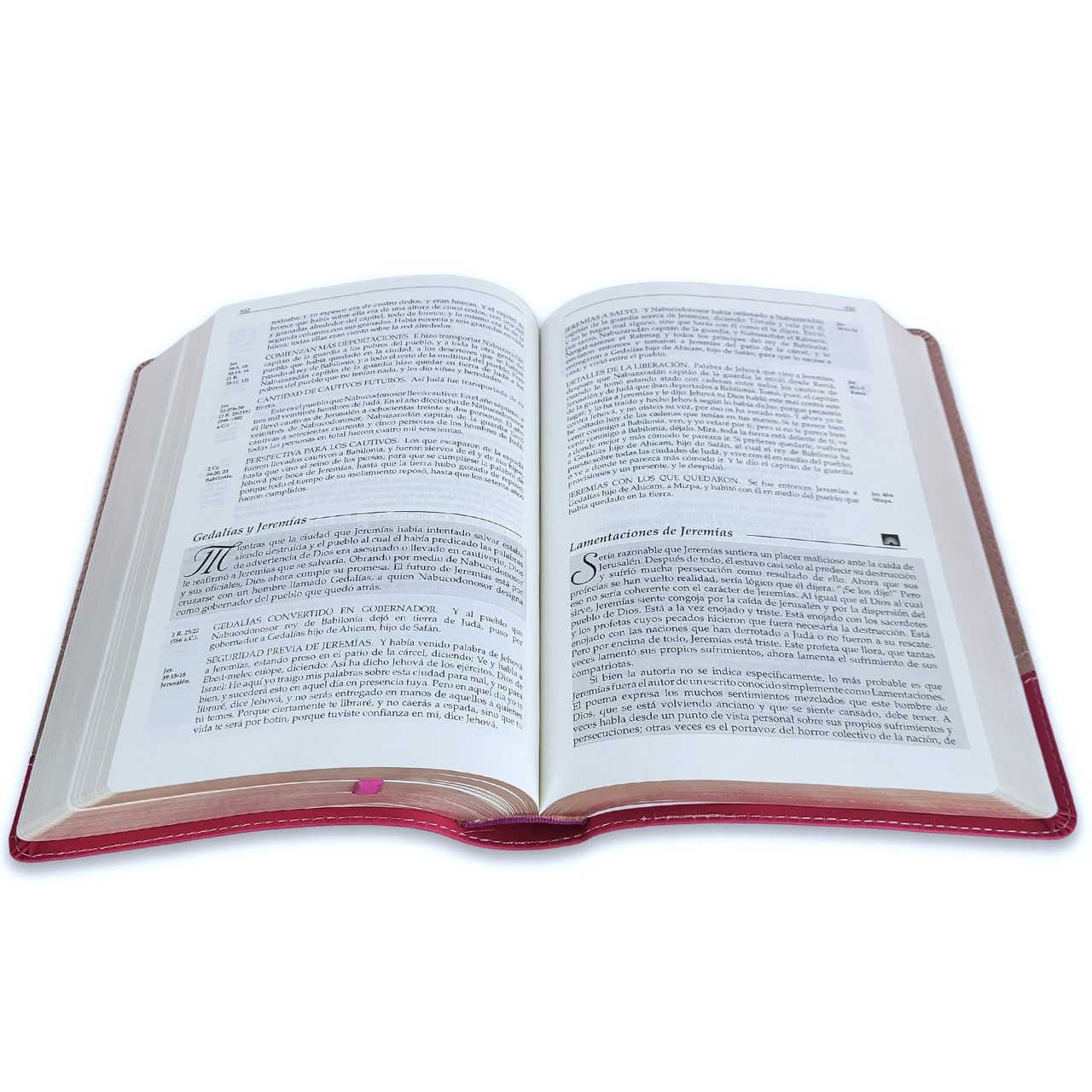 La Biblia en Orden Cronológico RV1960, 9780825455872