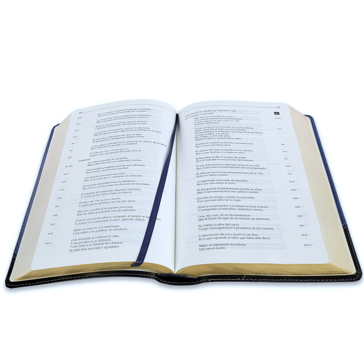 La Biblia en Orden Cronológico RV1960, 9780825455841