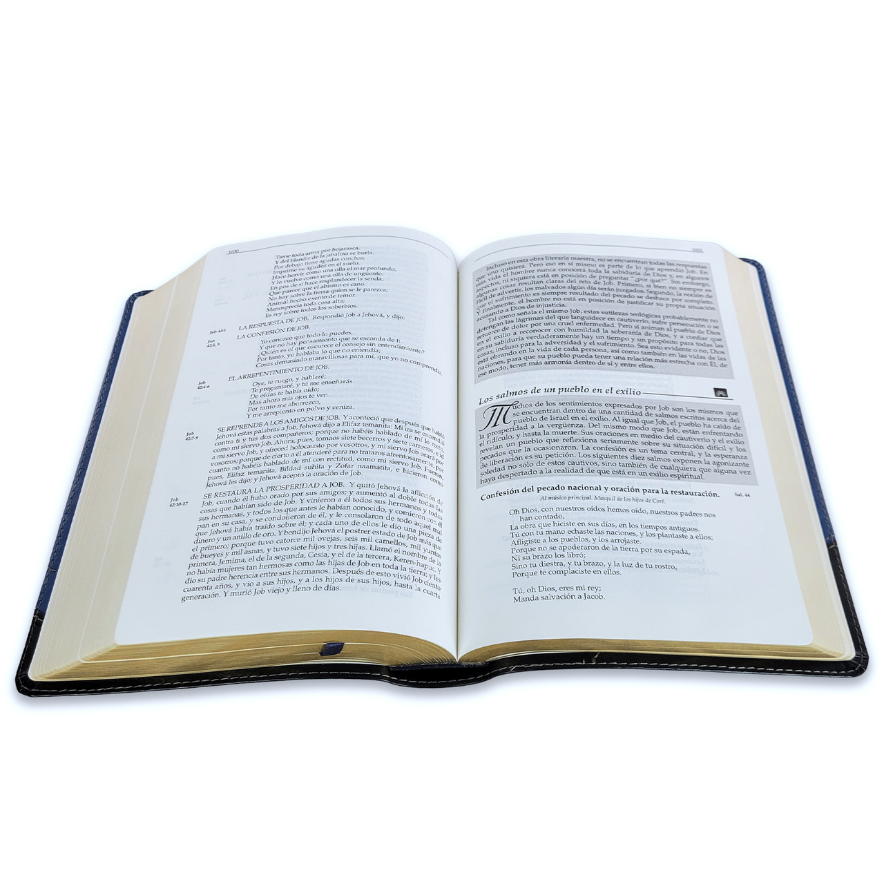 La Biblia en Orden Cronológico RV1960, 9780825455841