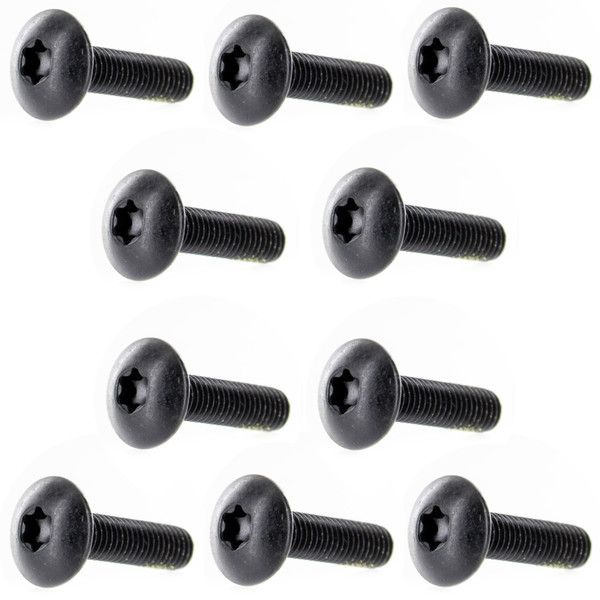 Can-Am OEM Torx Screw (M5 x 20) 10 Pack, 250000724