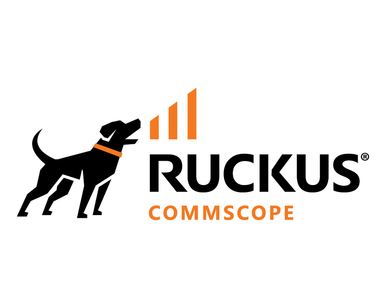 Ruckus 902-0162-US00 PoE Injector (US) – 24W Gigabit Power over ...