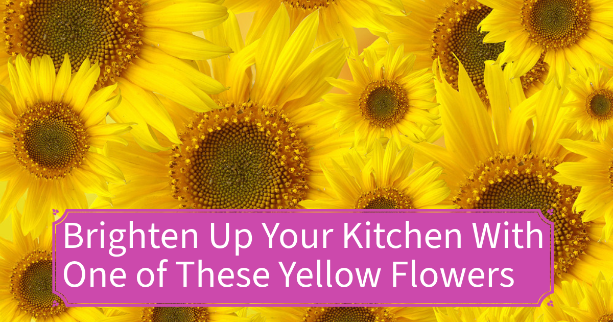 Brighten Up Your Kitchen With One of These Yellow Flowers - Gidas Flowers