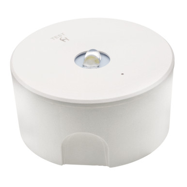 White Spectrum LED Emergency Downlight 2W Open Area / Corridor Non ...