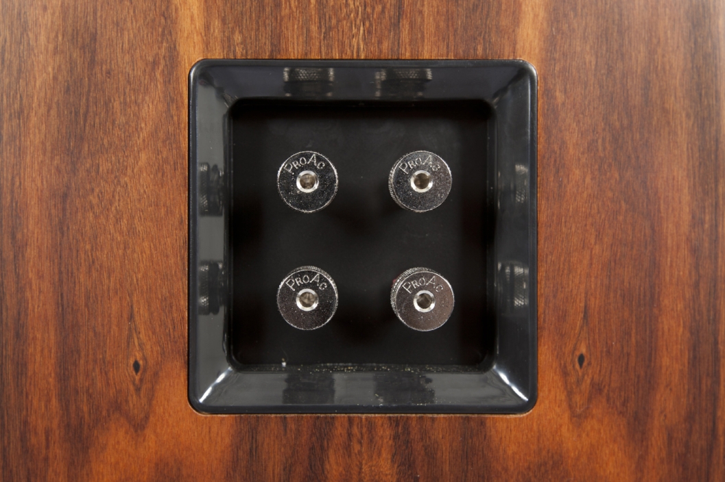 ProAc Revisits the Popular D30R - The Sound Organisation