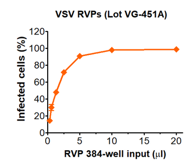 VSV Reporter Virus Particles with MLV core - Virology at Integral Molecular
