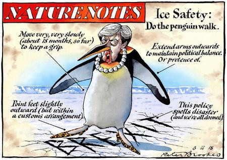 36014952-Nature Notes ice Safety: Do the penguin walk - The Times ...