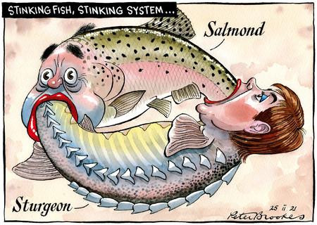 38908446-stinking fish stinking system salmond - sturgeon - The Times ...