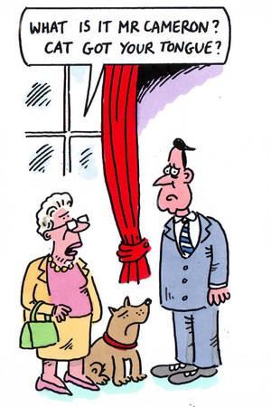 29049017-What is it Mr Cameron? Cat got your tongue? - The Times ...
