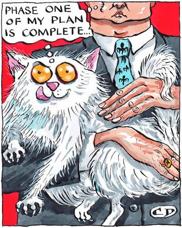 39505315-Cats. Phase one of my plan is complete. . . 08. 07. 2022 ...