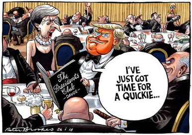35902140-Peter Brookes cartoon 26. 01. 2018 Donald Trump, The President ...