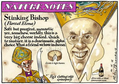 26436071-Peter Brookes cartoon for The Times dated 10. 11. 12. Nature ...